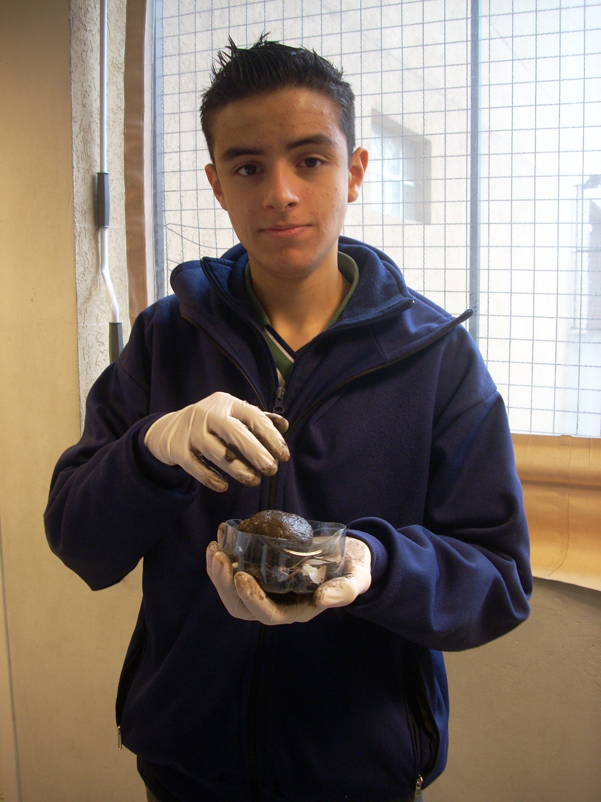 19 | Instituto Pringle Morgan